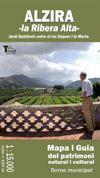 Mapa del término municipal de Alzira - El Tossal Cartografies